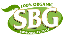 SBG Powder On The Go | 12 Sachets | 3grams per sachet – Salveo Barley PH