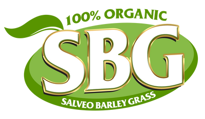 SBG Powder On The Go | 12 Sachets | 3grams per sachet – Salveo Barley PH